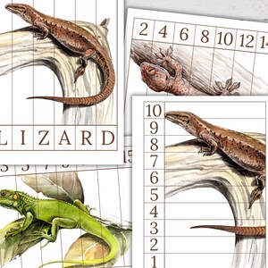 LIZARD Unit Study, Anatomy, Nature Study, Science, Handwriting ...