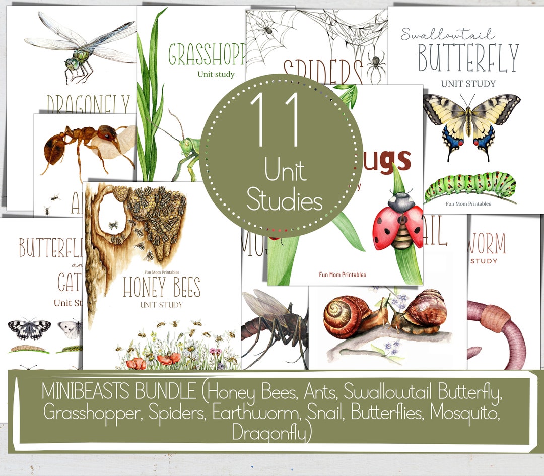 Minibeasts Unit Study Bundle: Life Cycle, Anatomy (instant Download) - Etsy