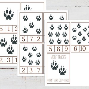GREY WOLF Unit Study, Life Cycle, Anatomy, Nature Study, Science ...