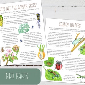 GARDEN INSECTS BUNDLE, Garden Pests Unit, Pollinators Unit, Earthworm ...