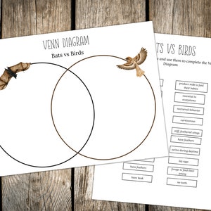 BATS Vs BIRDS Venn Diagram Activity, Homeschool, Montessori, Instant ...