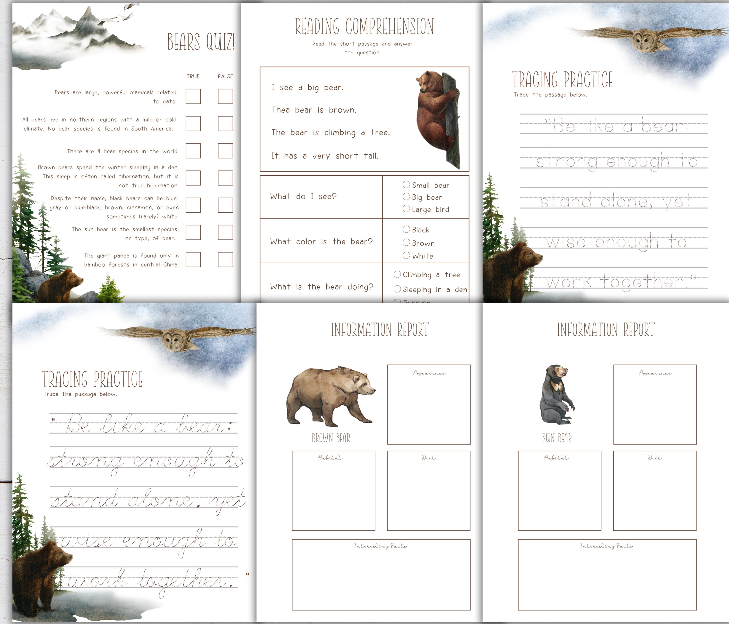 Bears Unit Study: Life Cycle, Anatomy, Homeschool Printable (instant ...