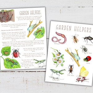 GARDEN INSECTS BUNDLE, Garden Pests Unit, Pollinators Unit, Earthworm ...