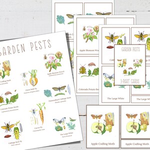 GARDEN INSECTS BUNDLE, Garden Pests Unit, Pollinators Unit, Earthworm ...