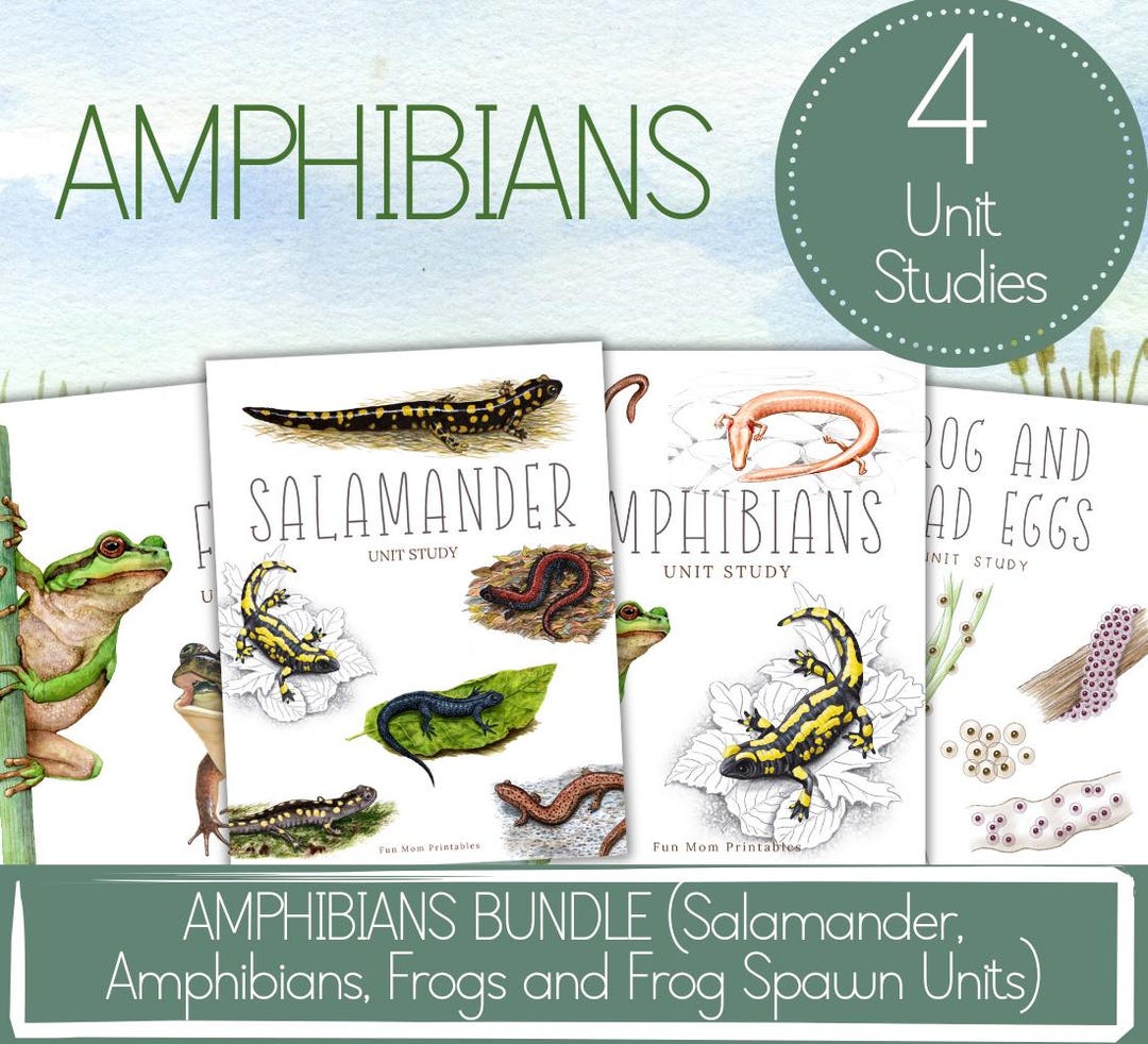 Amphibians Unit Study Bundle: Homeschool Printable (digital Download ...