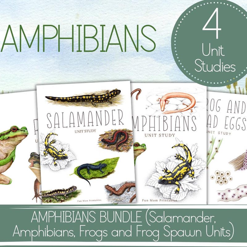 Frog and Toad Shirt - Etsy