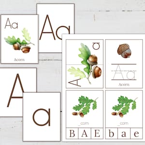 LETTER of the WEEK, A is for Acorn, Letter A Activities, Alphabet ...
