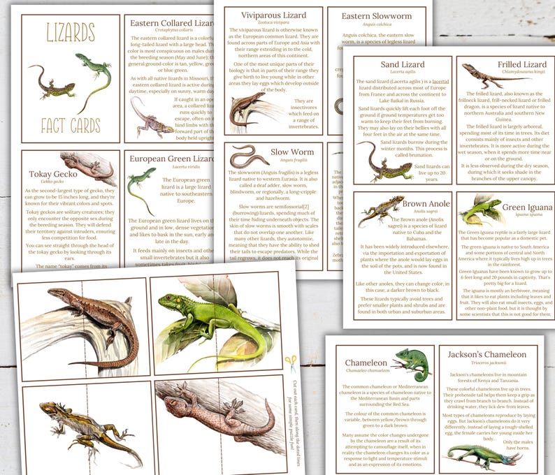 LIZARD Unit Study, Anatomy, Nature Study, Science, Handwriting ...