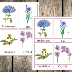 Flower 3-part Cards, Recognition Cards, Flowers, Spring, Nomenclature ...