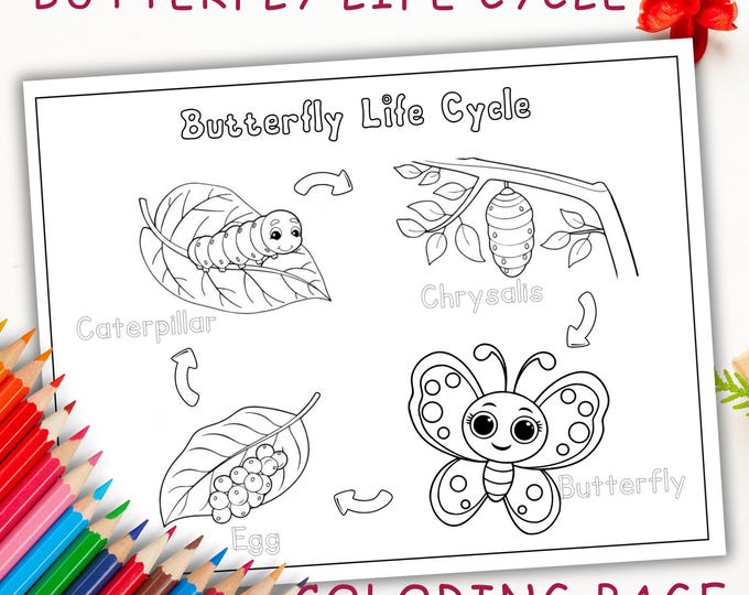 Butterfly Life Cycle Coloring Page, Printable Life Cycle of a Butterfly ...