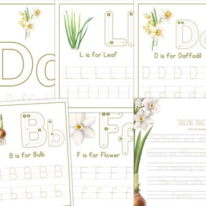 Daffodil Unit Study: Homeschool Science Printable (instant Download) - Etsy