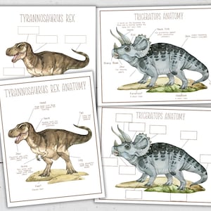 DINOSAURS Unit Study, Life Cycle, Anatomy, Nature Study, Science ...