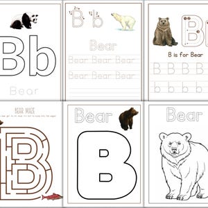 BEARS Unit Study, Life Cycle, Anatomy, Nature Study, Science ...