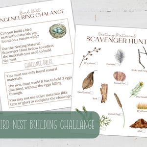 BIRD NESTS Unit Study, Nature Study, Science, Handwriting, Homeschool ...