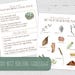BIRD NESTS Unit Study, Nature Study, Science, Handwriting, Homeschool ...