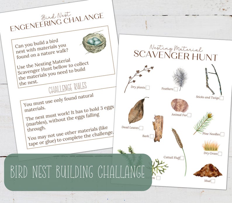 BIRD NESTS Unit Study, Nature Study, Science, Handwriting, Homeschool ...