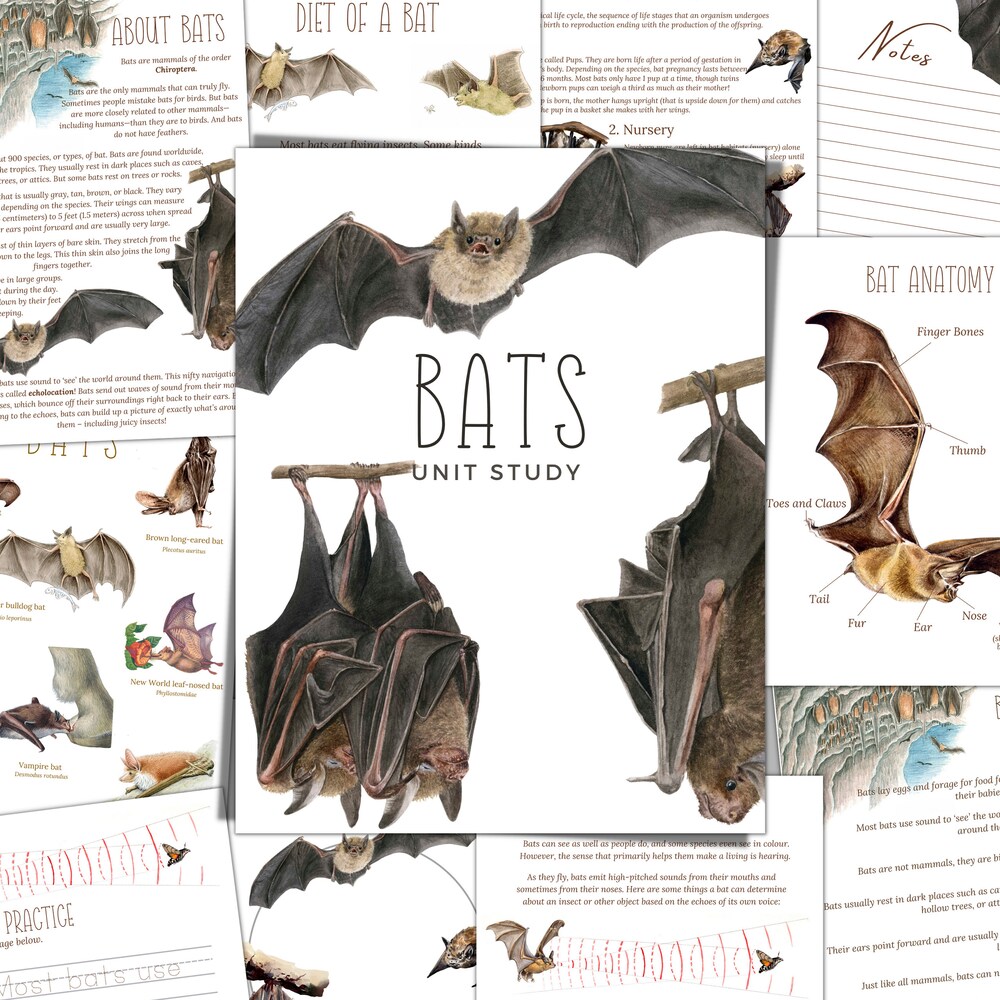 FunMomPrintables - Etsy