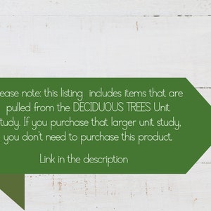 DECIDUOUS TREES Mini Poster and 3 Part Cards, Nature, Digital DIY ...