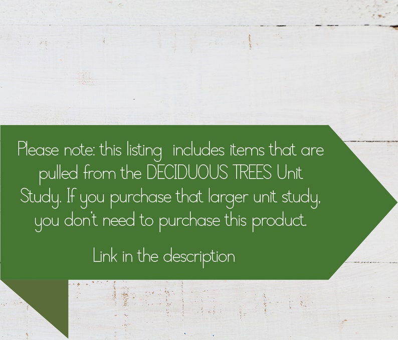 Deciduous Trees Mini Poster & 3-part Cards: Montessori Homeschool ...