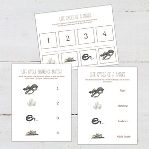 SNAKE Life Cycle, Nature Study, Homeschool Printable, Instant Download ...