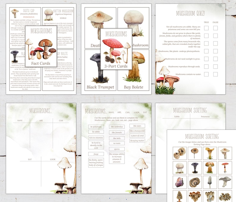Mushrooms of North America Unit Study: Homeschool Printable (instant ...