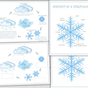 SNOWFLAKE Unit Study, Nature Study, Science, Handwriting, Homeschool ...
