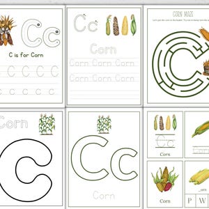Corn Unit Study: Life Cycle, Anatomy, Homeschool Printable (instant ...