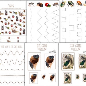 Beetles Unit Study: Homeschool Science Printable (instant Download) - Etsy