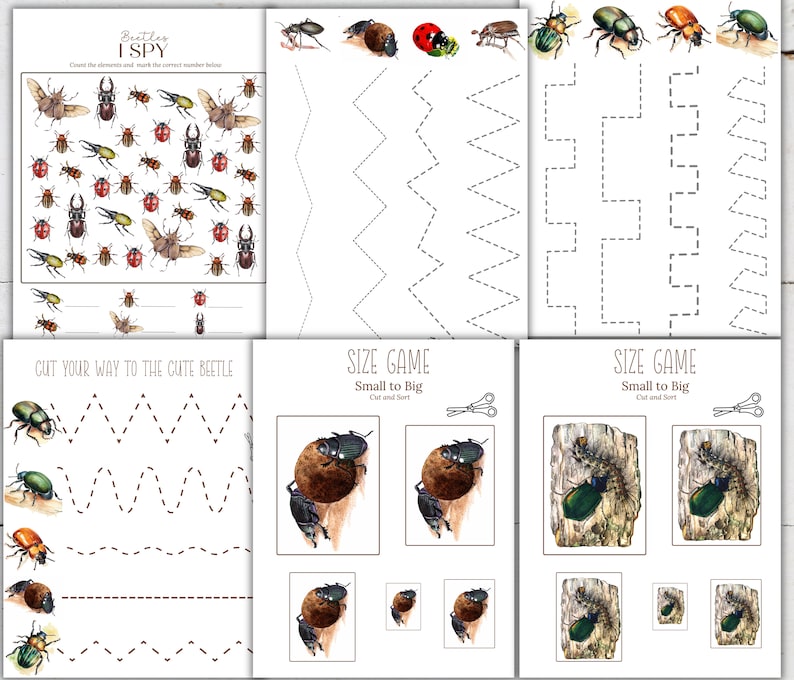 Beetles Unit Study: Homeschool Science Printable (instant Download) - Etsy