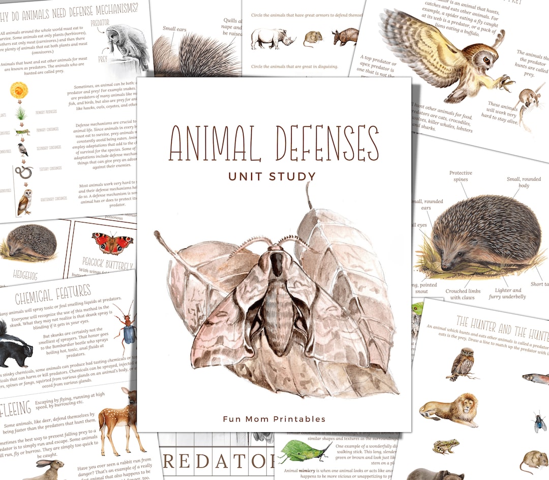 ANIMAL DEFENSES Unit Study, Anatomy, Nature Study, Science, Handwriting ...