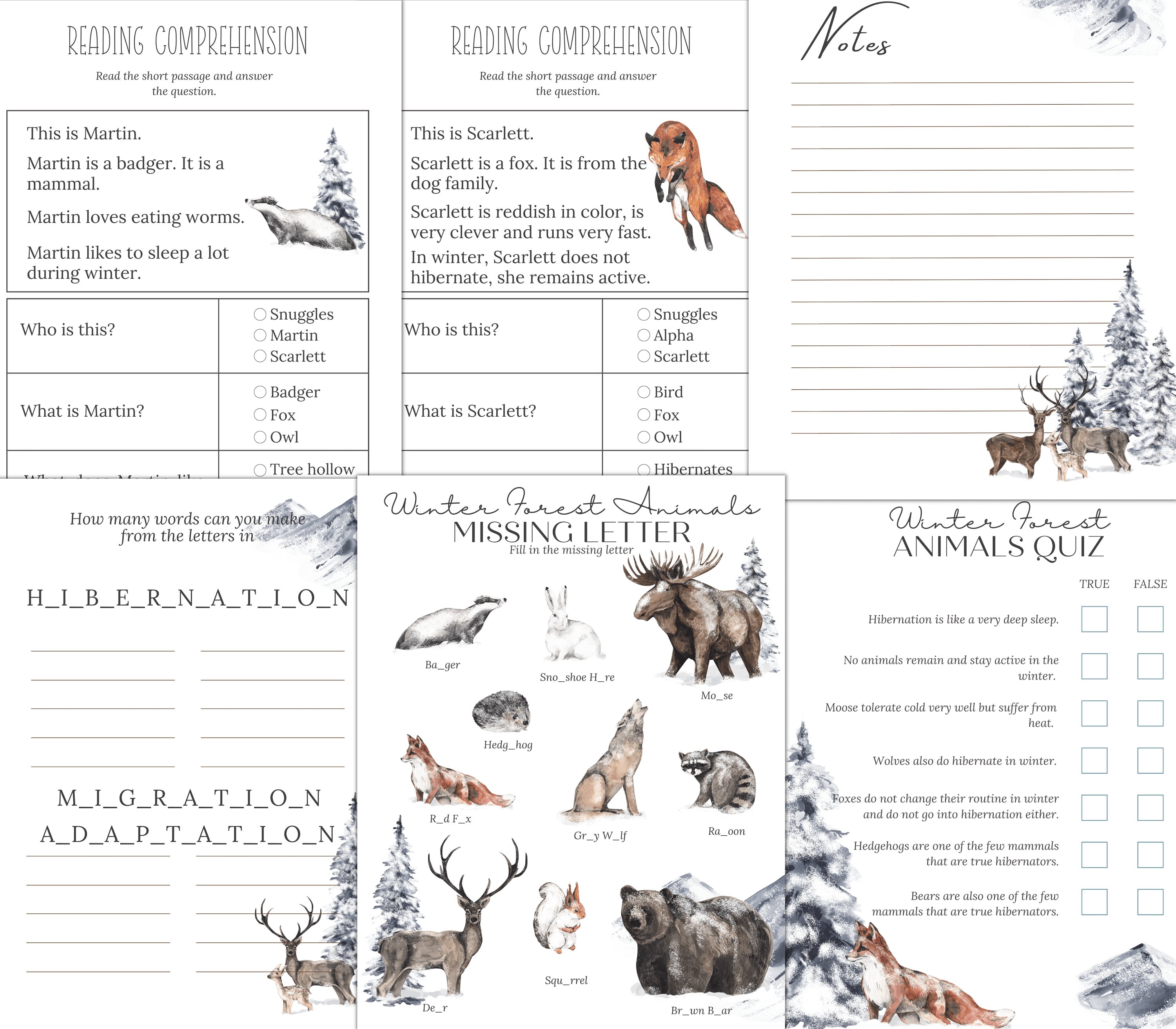 WINTER FOREST ANIMALS Unit Study Anatomy Nature Study - Etsy UK