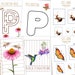 POLLINATORS Unit Study Nature Study Science Handwriting - Etsy