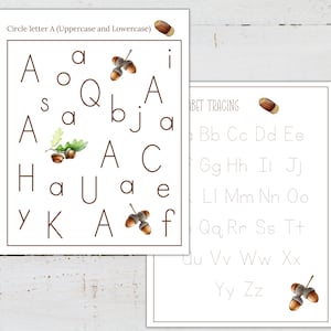LETTER of the WEEK, A is for Acorn, Letter A Activities, Alphabet ...