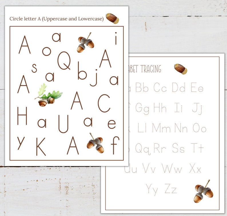 Letter A Acorn Learning Activities: Homeschool Printable (digital ...