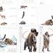 ICE AGE Unit Study, Nature Study, Science, Handwriting, Homeschool ...
