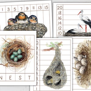 BIRD NESTS Unit Study, Nature Study, Science, Handwriting, Homeschool ...