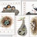 BIRD NESTS Unit Study, Nature Study, Science, Handwriting, Homeschool ...