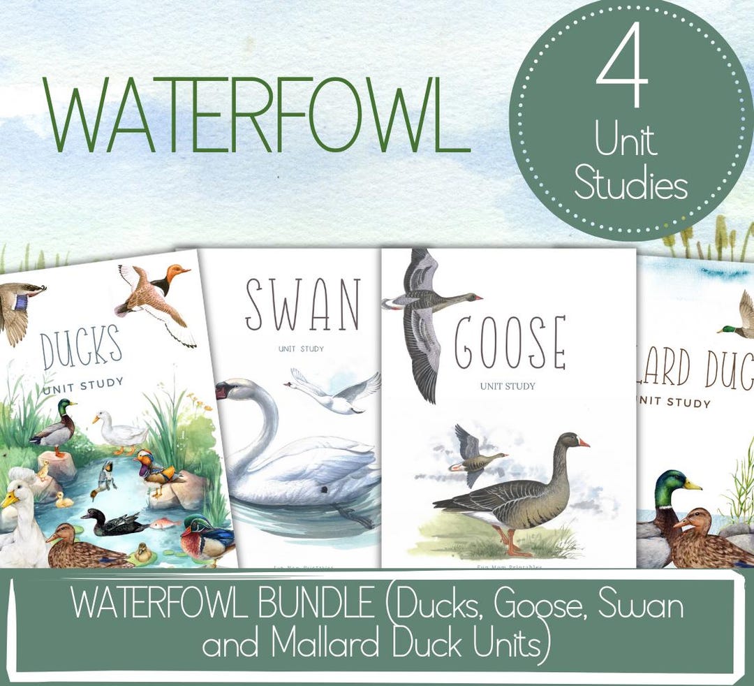AMPHIBIANS BUNDLE, Goose Unit, Ducks Unit, Swan Unit, Mallard Duck Unit ...