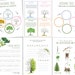 DECIDUOUS TREES Unit Study, Life Cycle, Anatomy, Nature Study, Science ...