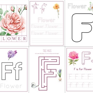 Flowers Mini Study Unit: Life Cycle & Anatomy (instant Download) - Etsy