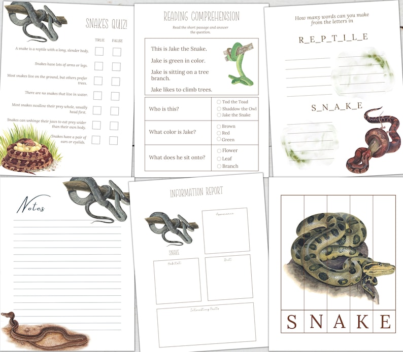 Snakes Unit Study: Anatomy, Life Cycle, Homeschool Printable (instant ...