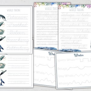 WHALES Unit Study, Life Cycle, Anatomy, Nature Study, Science ...