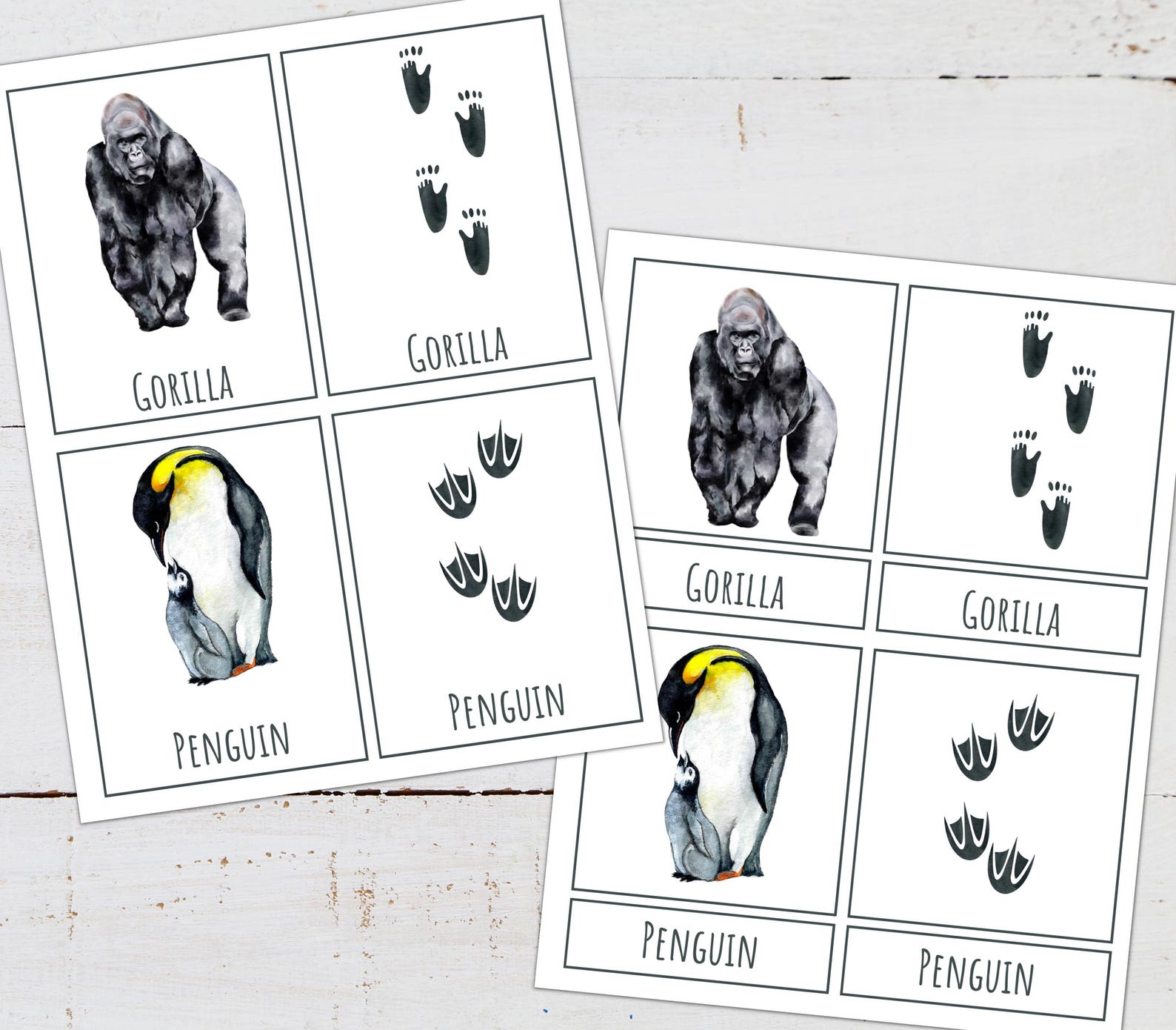 Animal Tracks Poster Set: Nature Study Cards & Puzzles (digital ...