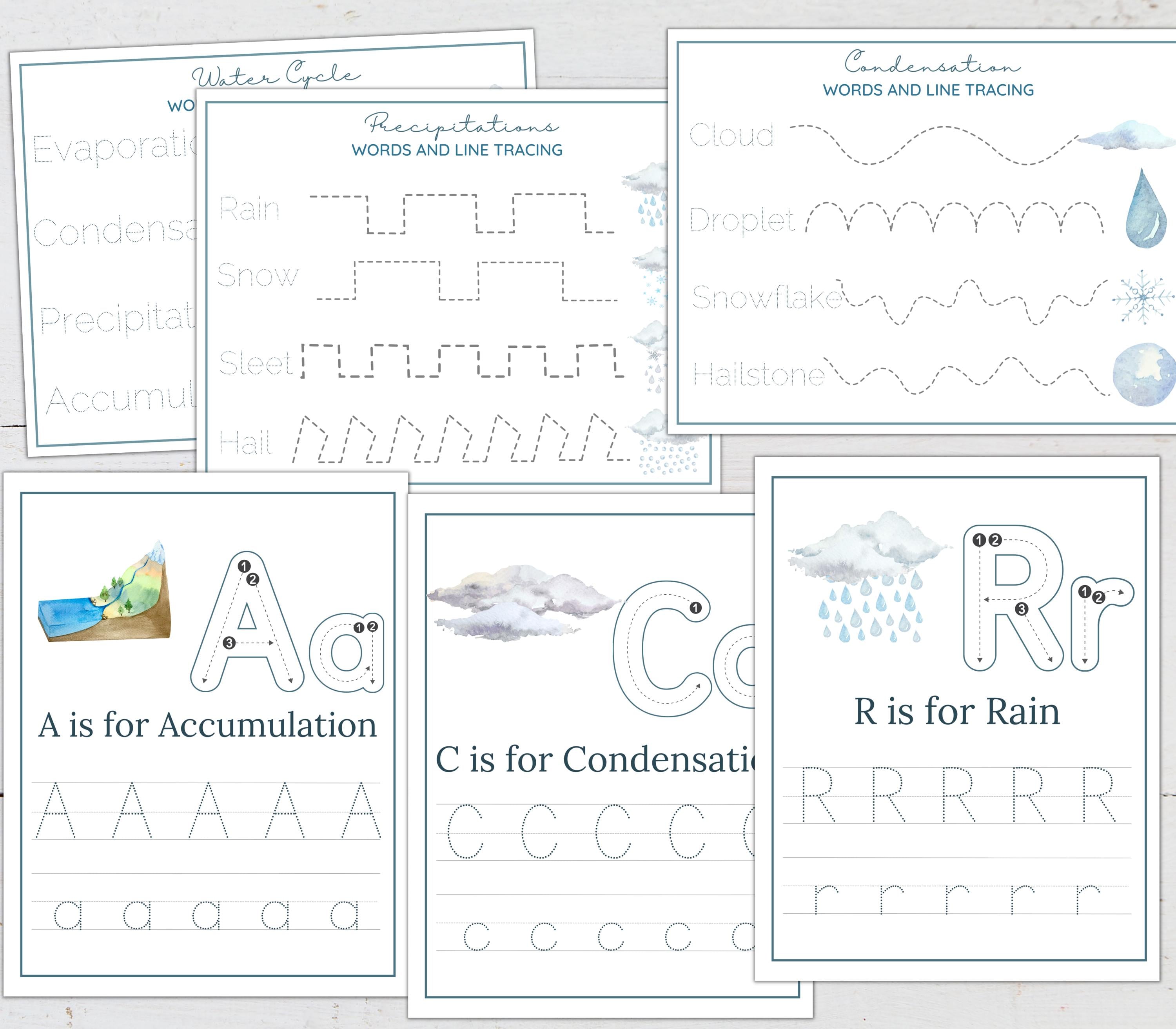 WATER CYCLE Unit Study, Process, Nature Study, Science, Handwriting ...