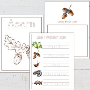 LETTER of the WEEK, A is for Acorn, Letter A Activities, Alphabet ...