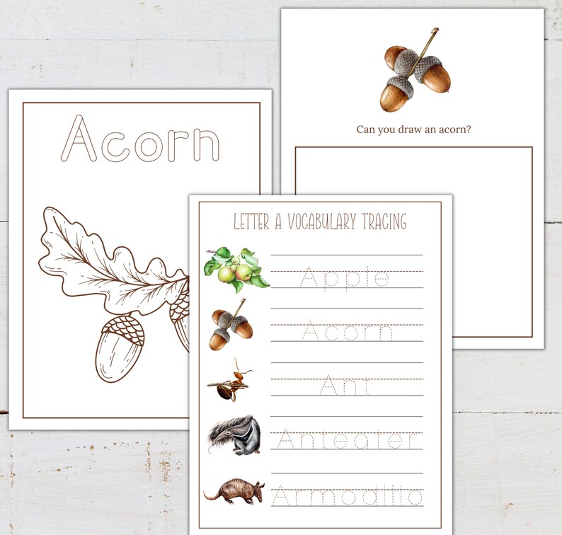 Letter A Acorn Learning Activities: Homeschool Printable (digital ...