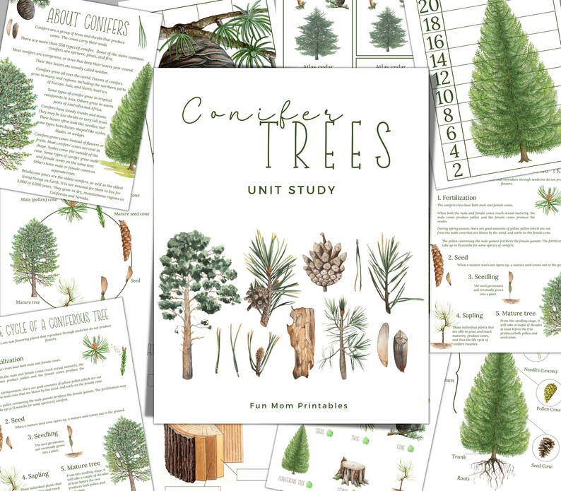Winter Nature Unit Study Bundle: Forest Animals, Birds, Conifers ...