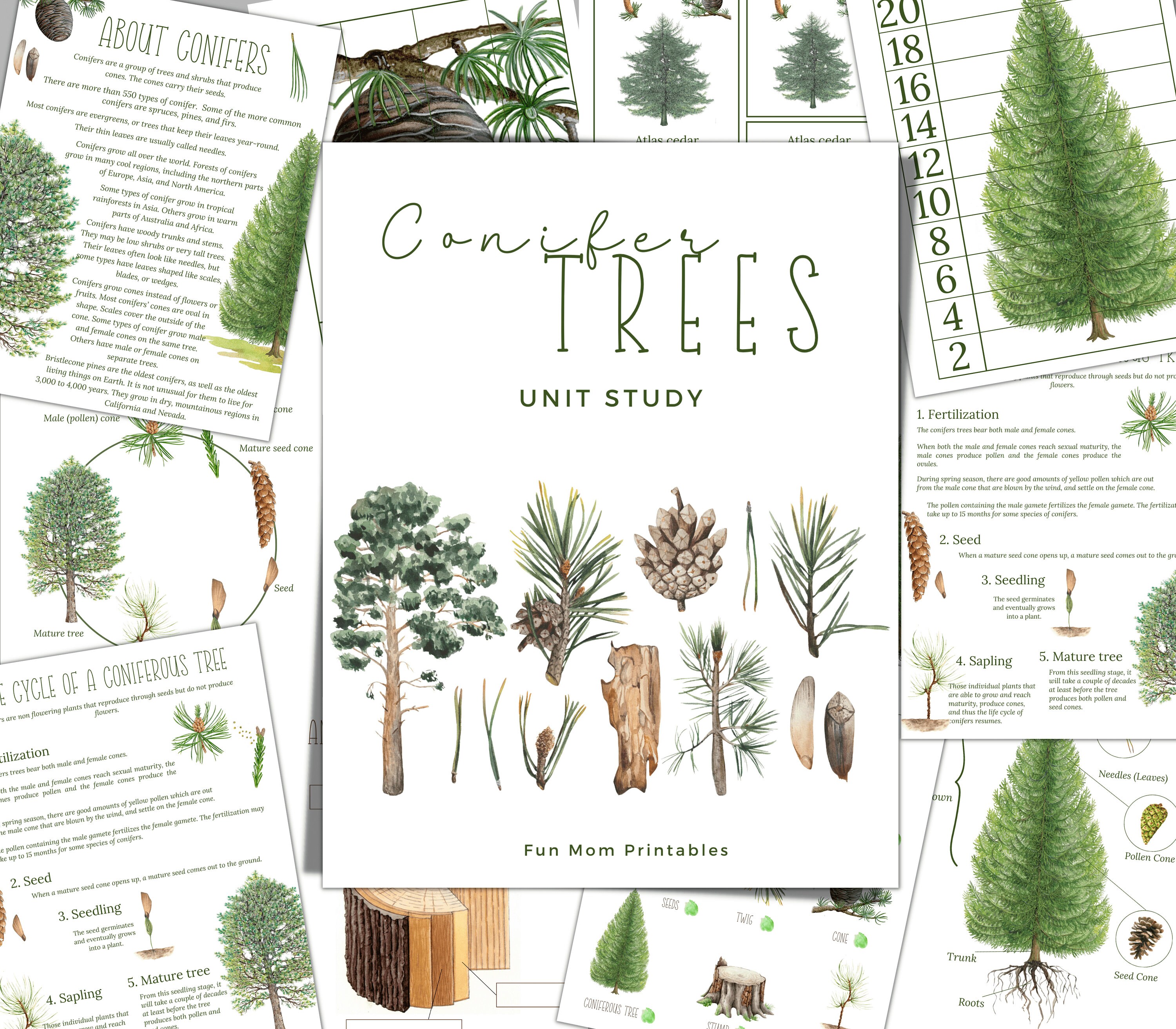 Winter Nature Unit Study Bundle: Forest Animals, Birds, Conifers ...