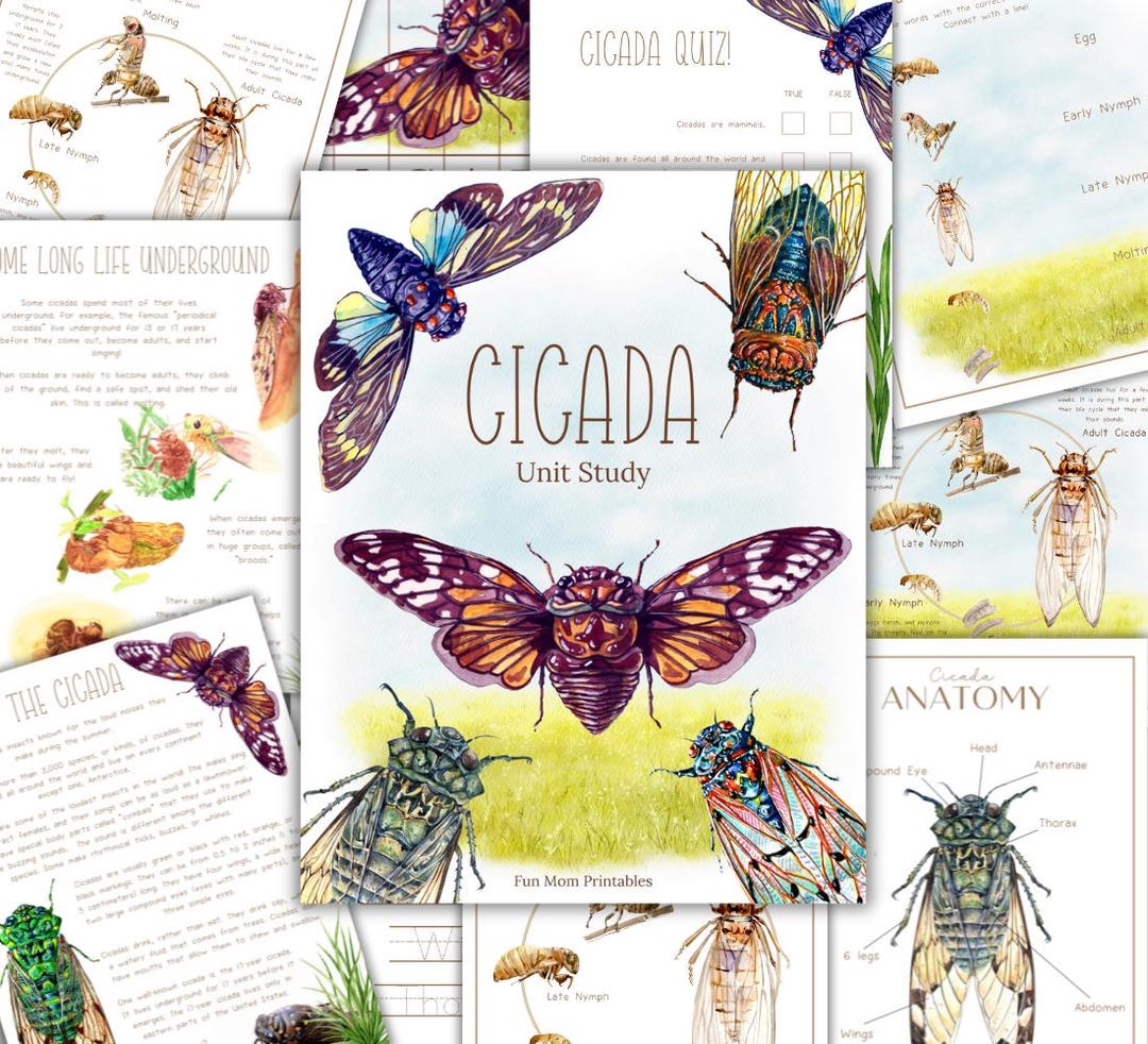 Cicada Life Cycle Unit Study: Anatomy, Homeschool Printable (instant ...