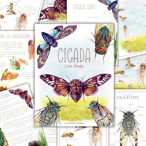 Cicada Life Cycle Unit Study: Anatomy, Homeschool Printable (instant ...